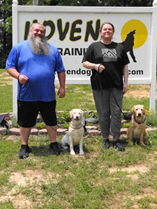 Trained Labrador Retrievers for Sale - Started Family Labs - Labrador ...